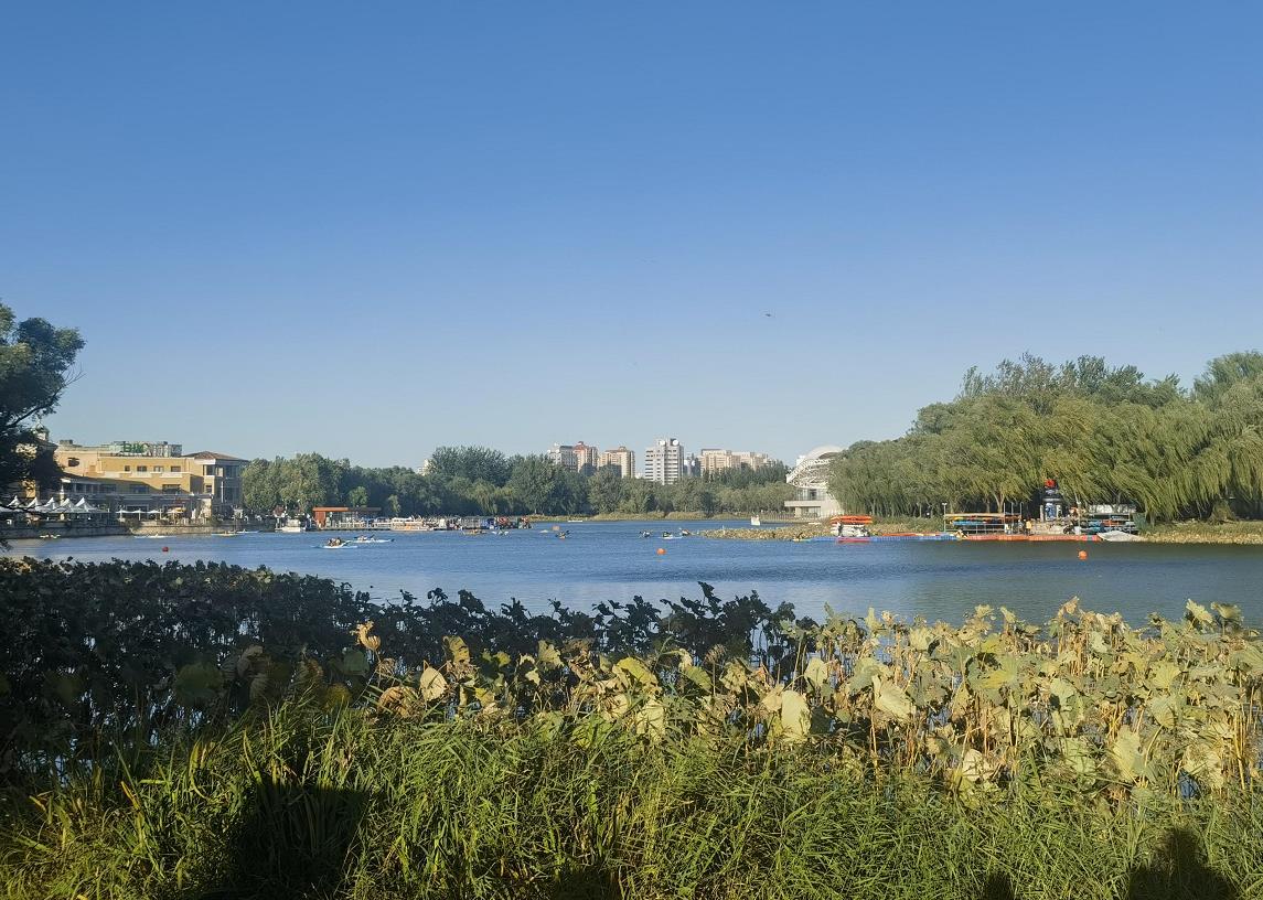 犀牛看市0703：A股7月迎“开门红” 光伏板块掀涨停潮_中金在线财经号