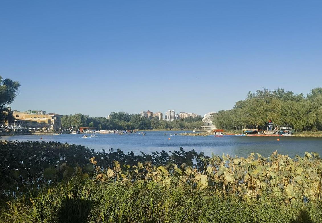 GPLP投融资：普力材料获近2亿元 达尔文生物获过亿元_中金在线财经号