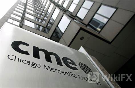 CME Group宣布推出全新隐含波动率指数 _中金在线财经号