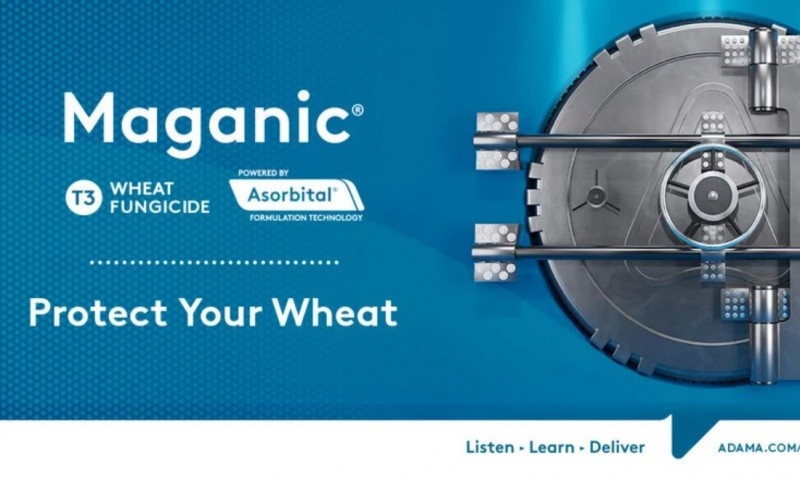 安道麦推出新型谷物杀菌剂Maganic®有力对抗穗期病害，提高谷物产出品质_中金在线财经号